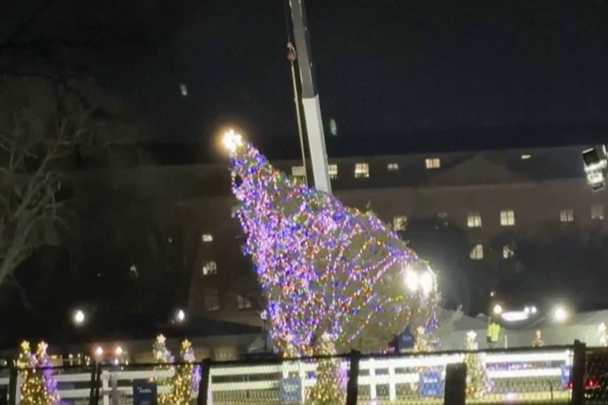 White House Christmas Tree Display 2024 - Christmas In Vegas 2024 White House Christmas Tree Display 2024 - Christmas In Vegas 2024